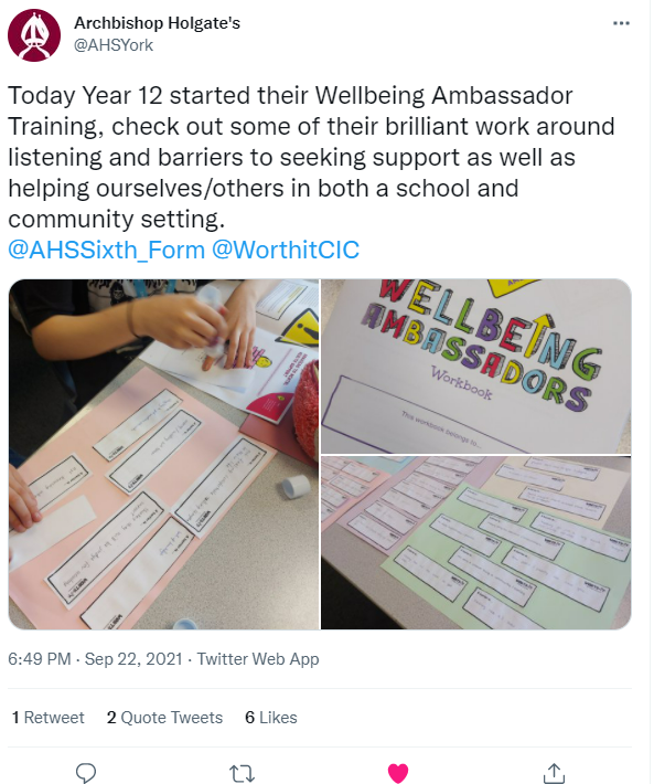 Wellbeing Ambassadors - peer support programme